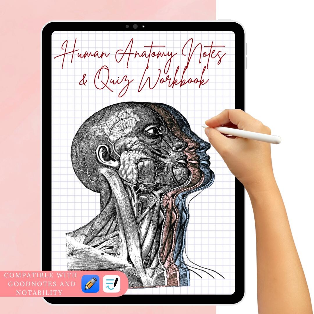 Human Anatomy Notes Workbook - Etsy