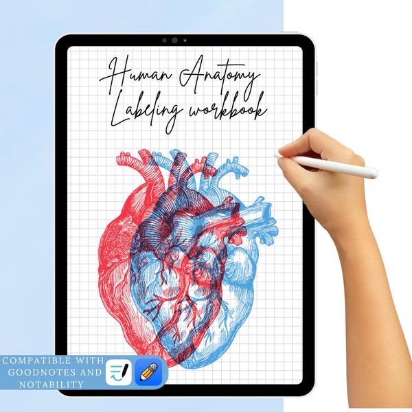 Human Anatomy Printable - Etsy