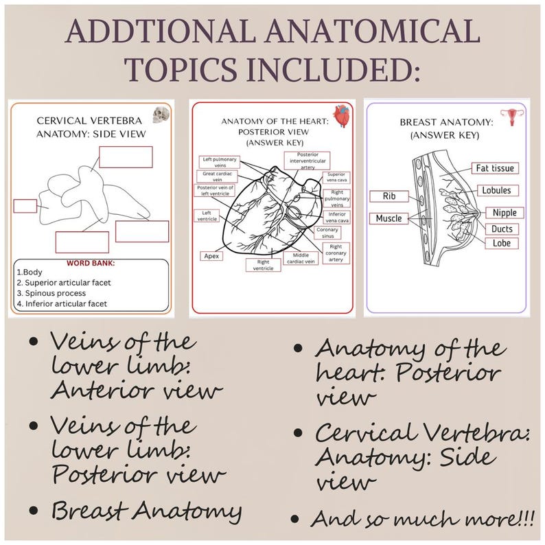 The Ultimate Anatomy Coloring & Labeling Book: 200+ Coloring Pages ...