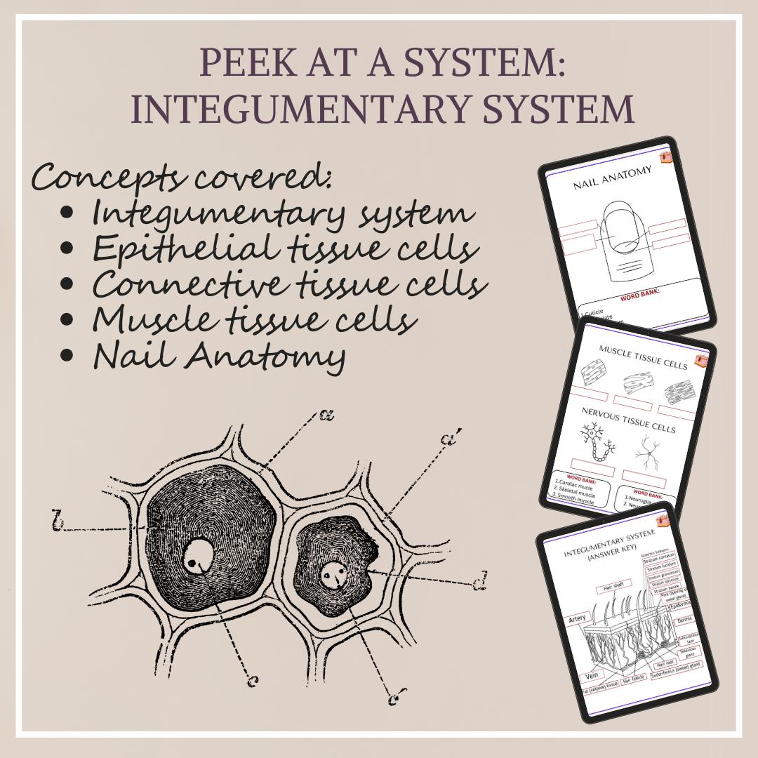 The Ultimate Anatomy Coloring & Labeling Book: 200+ Coloring Pages ...