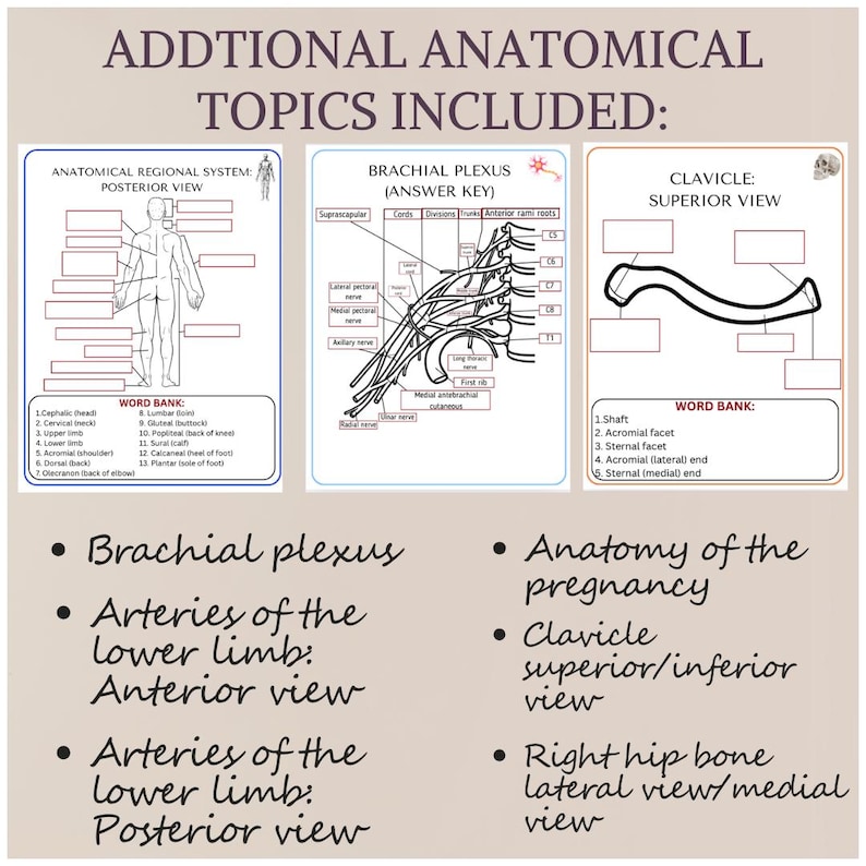 The Ultimate Anatomy Coloring & Labeling Book: 200+ Coloring Pages ...
