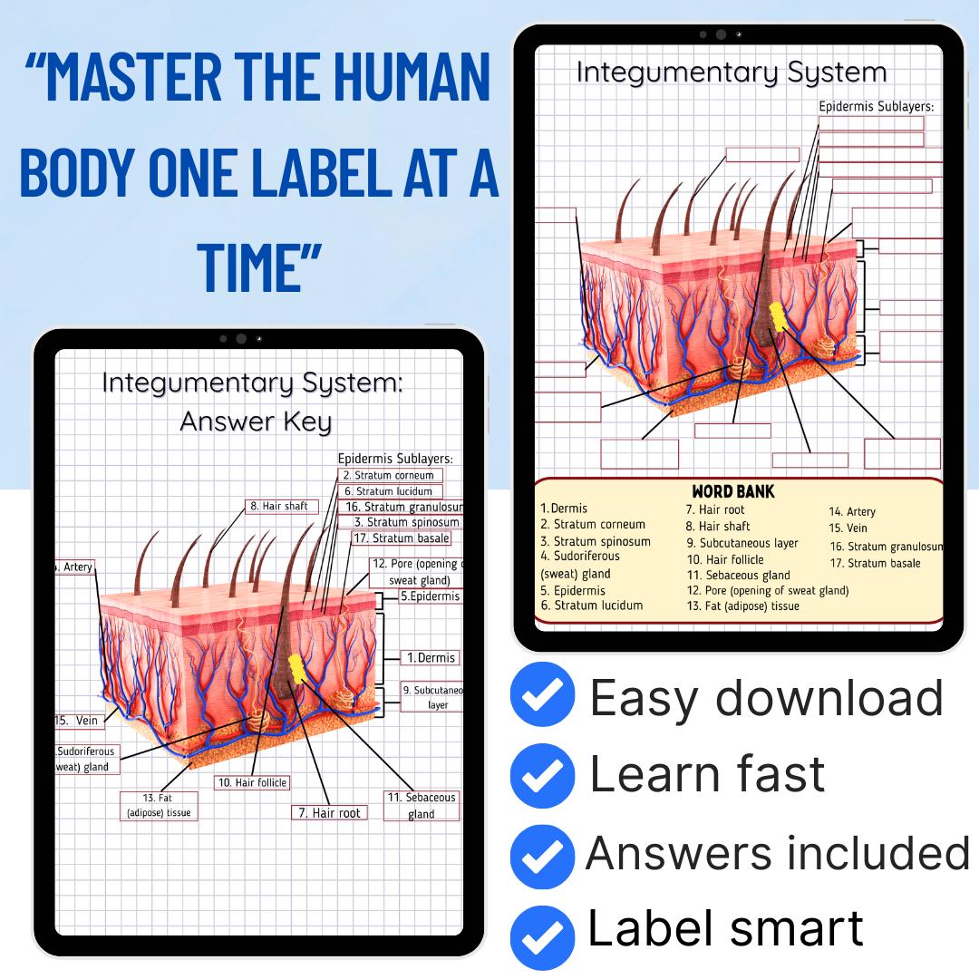 Human Anatomy Labeling Workbook: 40+ Printable Pages for Medical Study ...