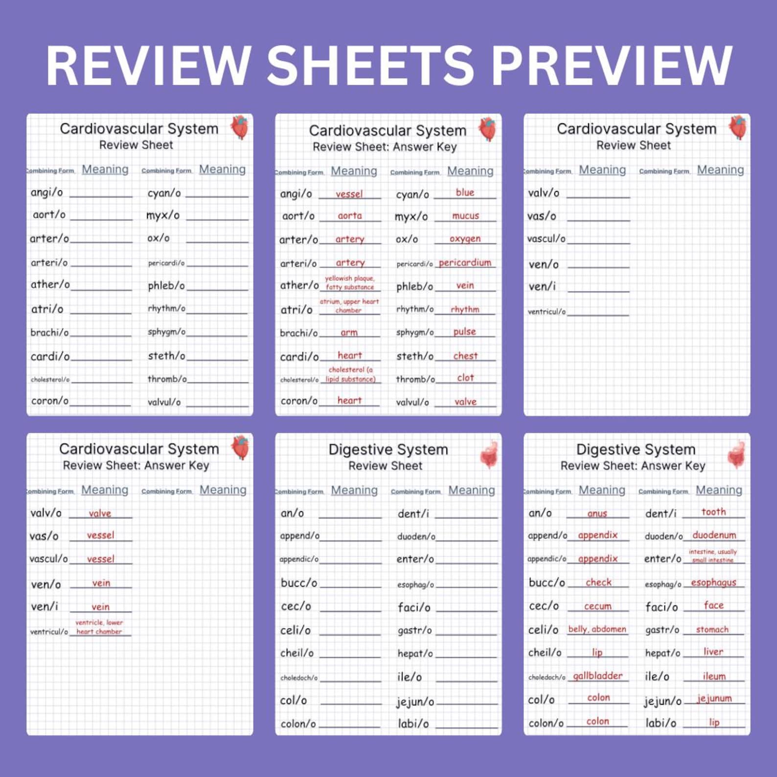 Medical Terminology Flashcards: 700+ Prefixes, Suffixes, and Combining ...