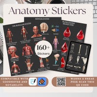 900+ Anatomy & Biology Stickers | Anatomy Stickers | Goodnotes Stickers ...