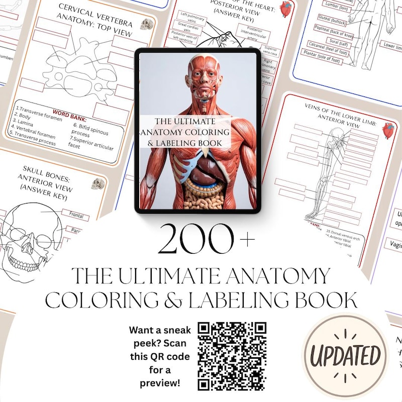 Coloring Pages Medical - Etsy