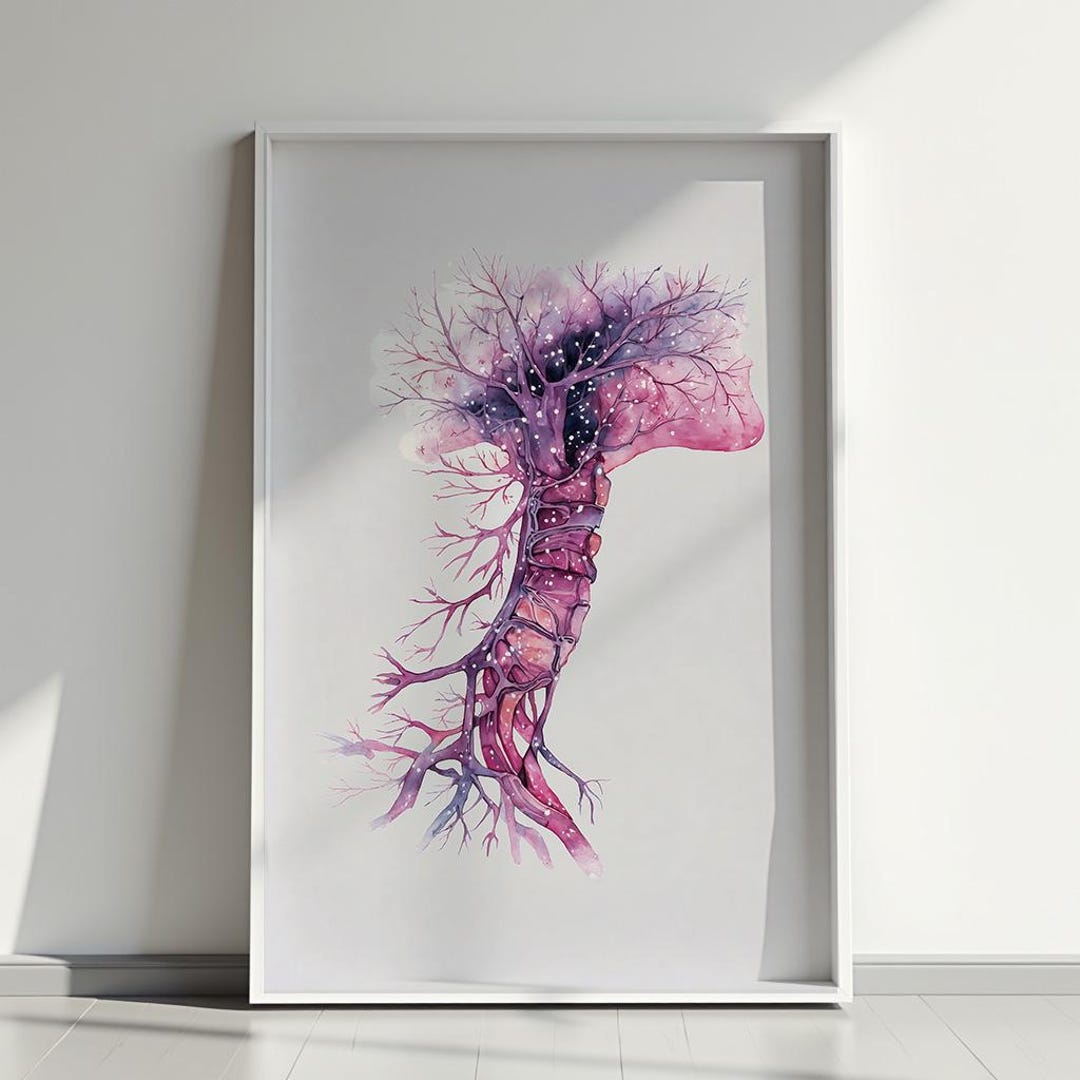 Vagus Nerve Poster, Nervous System Printable, Physician Assistant ...