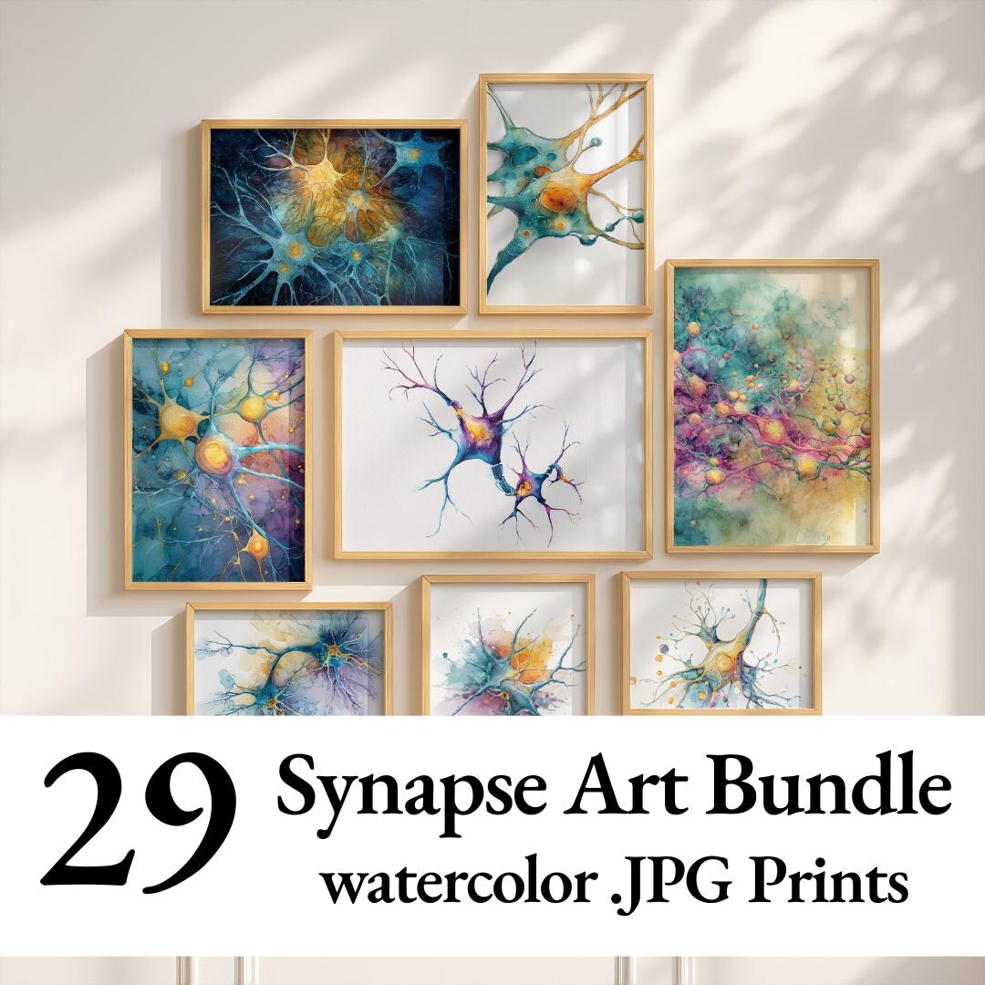 29 Synapse Art Bundle: Neuron Anatomy Art Illustrations - Etsy UK