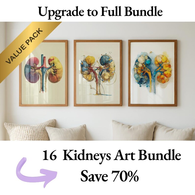 Anatomy Wall Art | Digital Kidneys Poster | Medical Office & Clinic ...