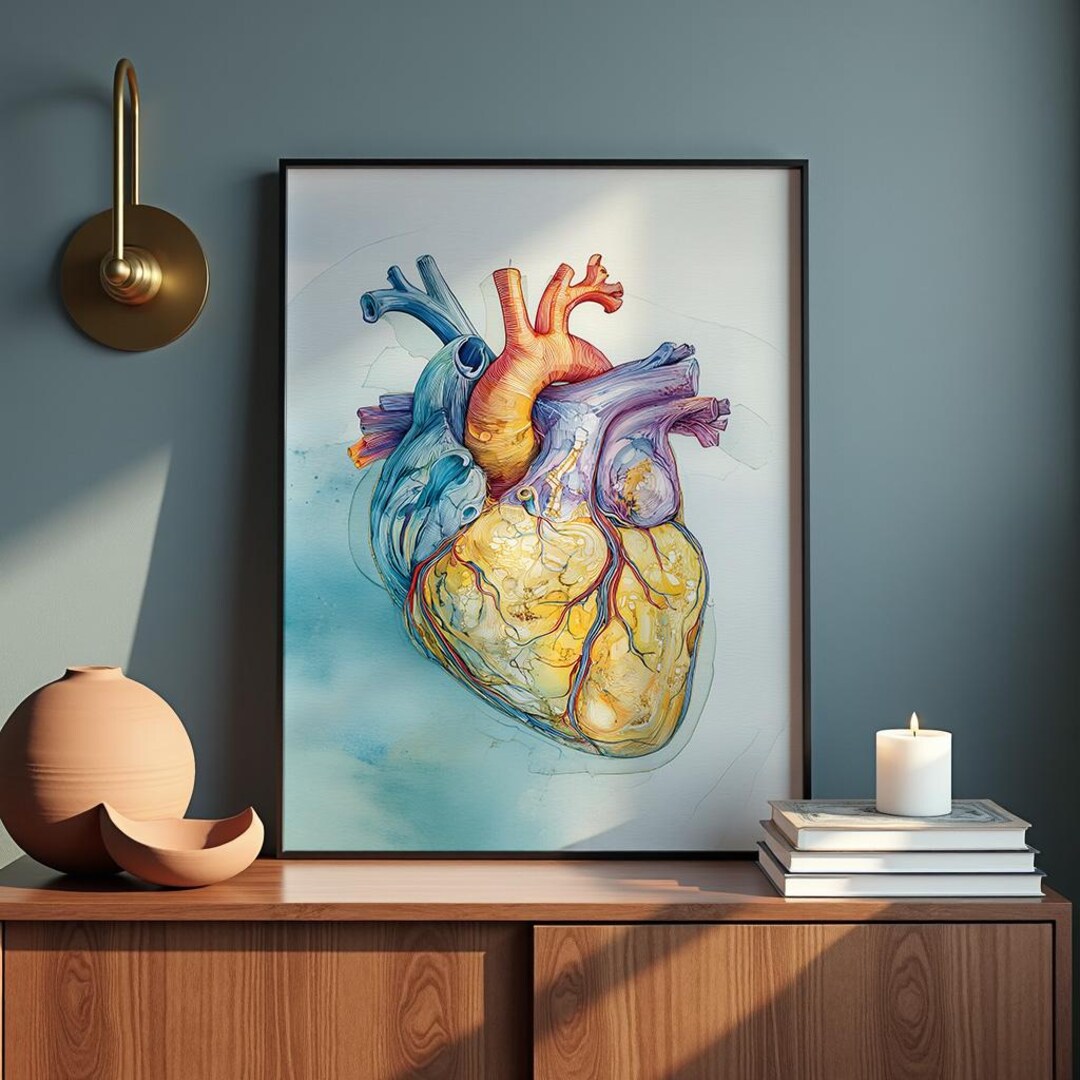 Human Heart Anatomy Poster | Cardiology Wall Art | Anatomical Heart ...