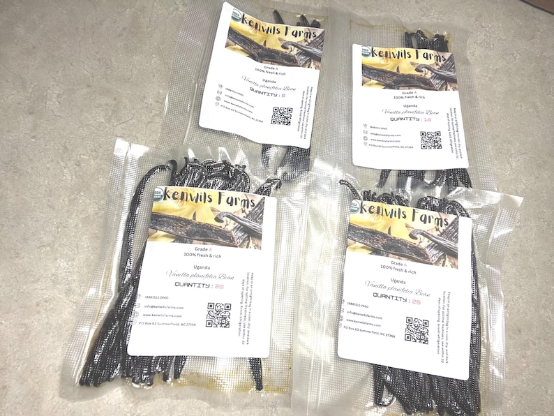 Plump and Moist Organic Vanilla Beans, Grade A (6-7 Inches Long) - Etsy