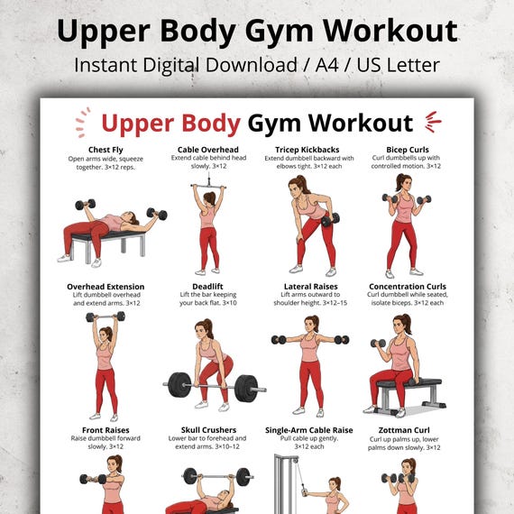 Back Exercises At Home Chart