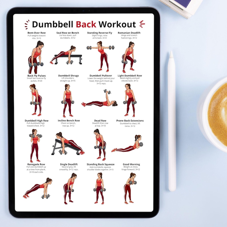 Dumbbell Back Workout Poster, Back Exercises Printable Chart, Upper ...