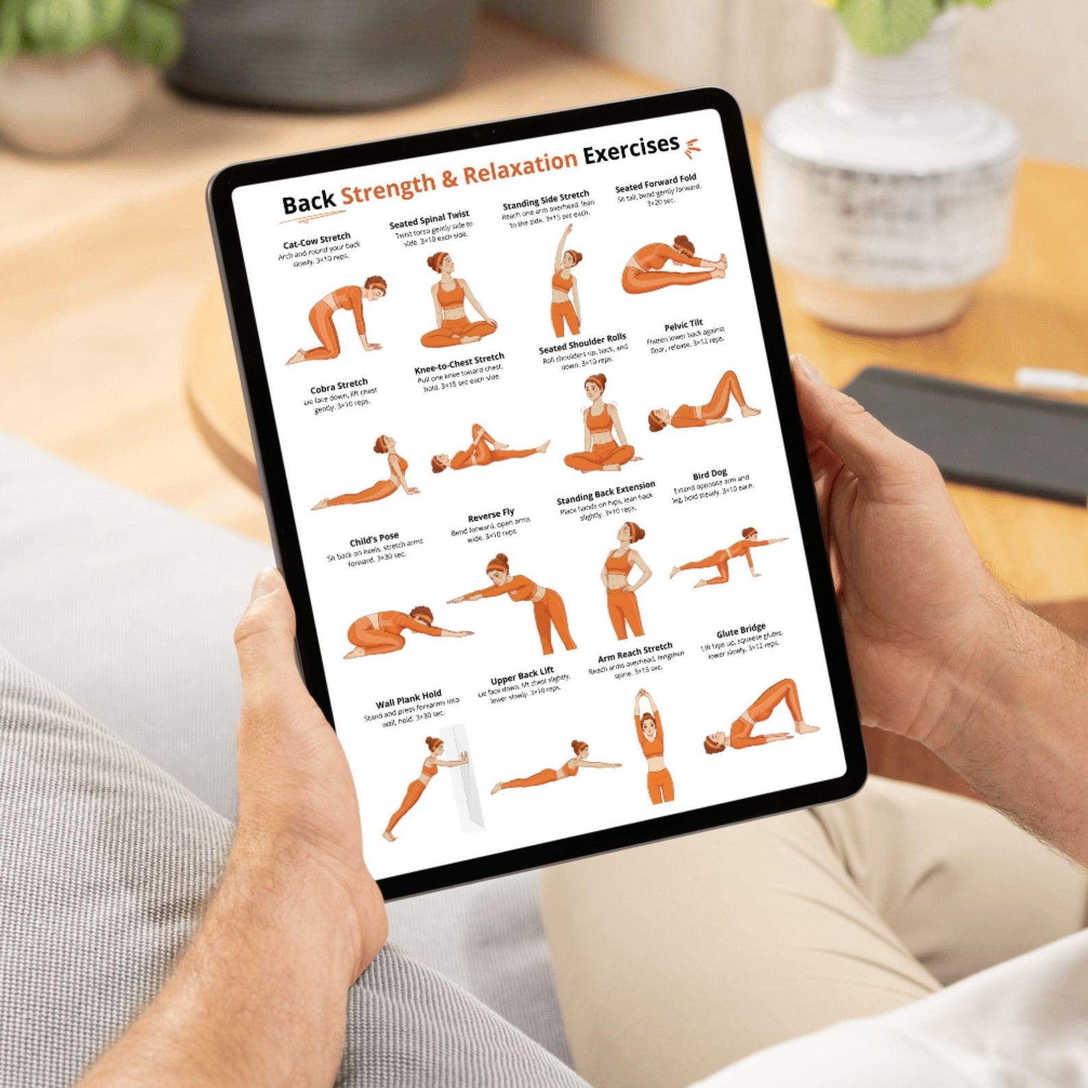Back Exercises | Seated and Standing Back Exercise Poster | Upper and ...