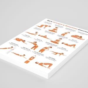 Back Exercises | Seated and Standing Back Exercise Poster | Upper and ...