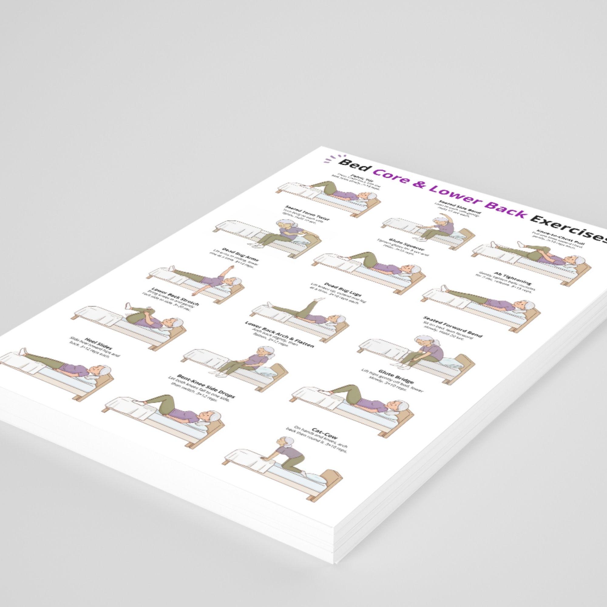 Bed Core & Lower Back Exercises for Seniors, Bed Exercise Poster for ...
