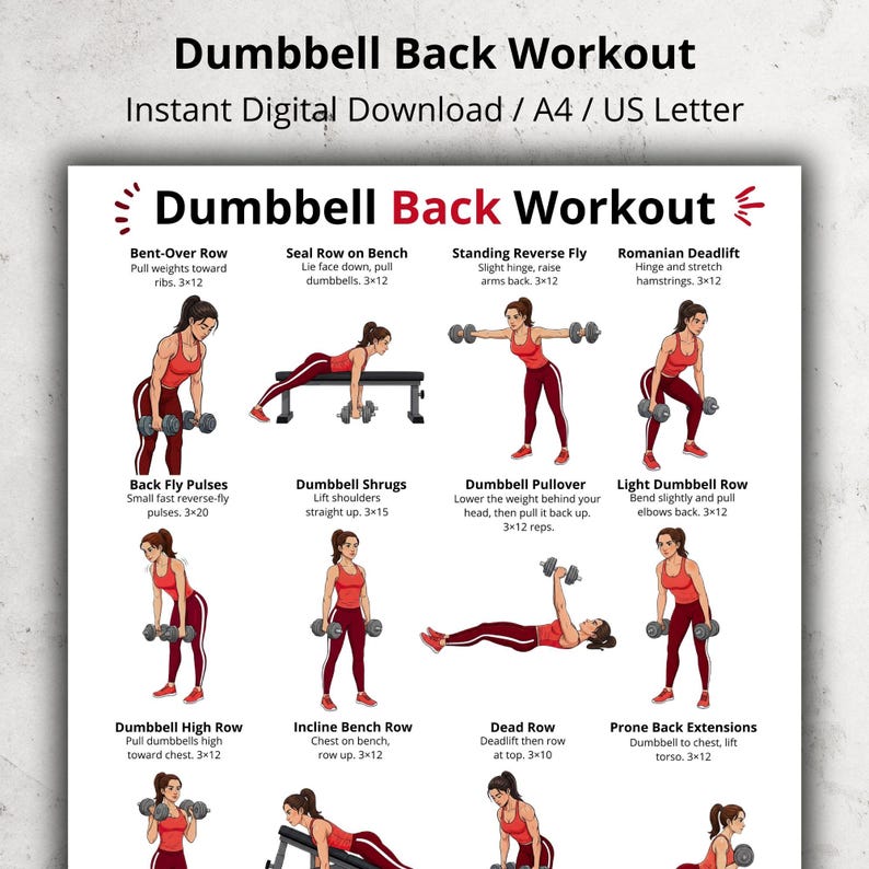 Dumbbell Back Workout Poster, Back Exercises Printable Chart, Upper ...