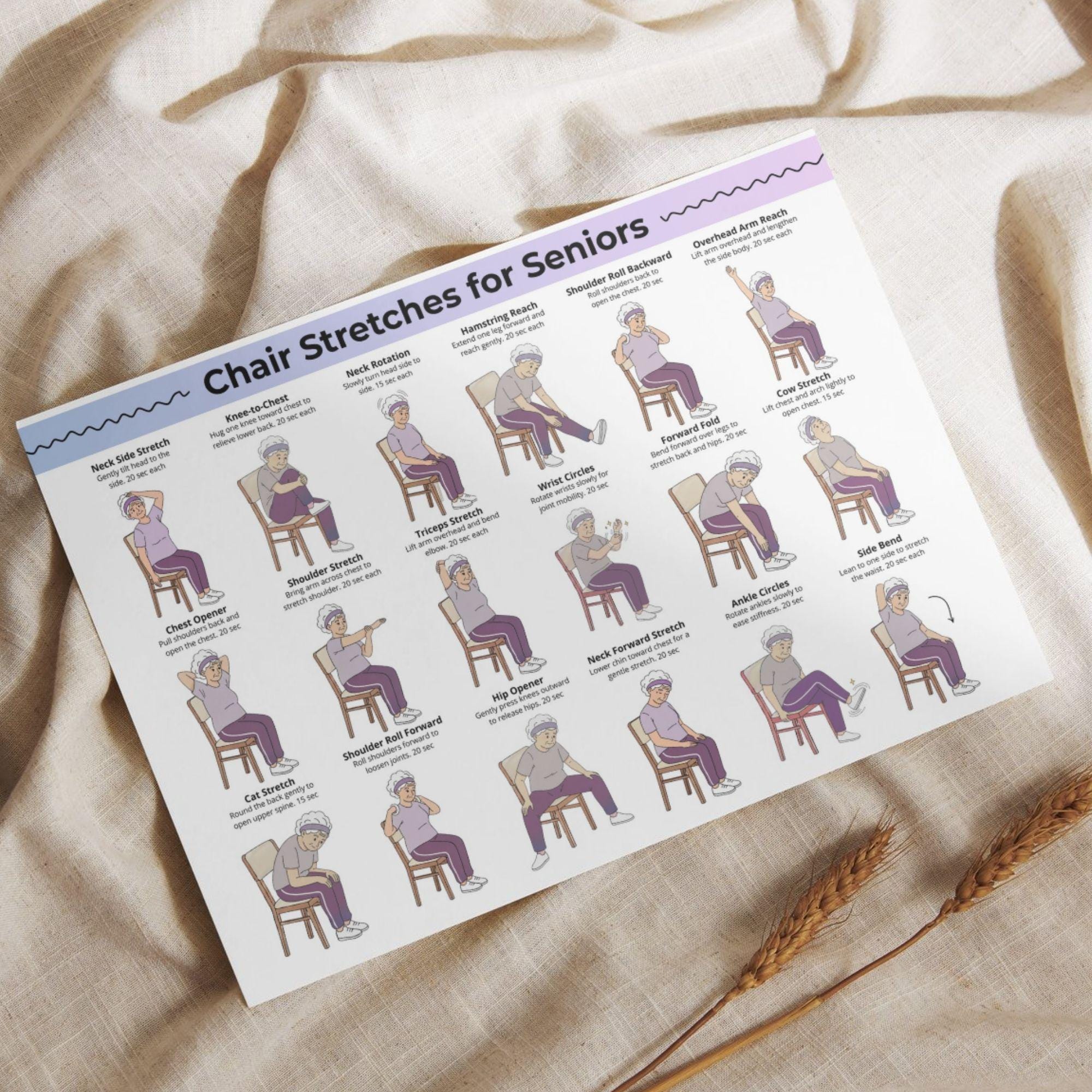 Chair Stretches for Seniors Poster, Seated Stretching Exercise Chart ...