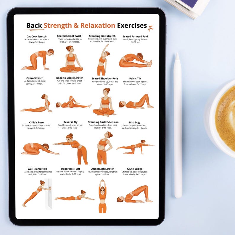 Back Exercises | Seated and Standing Back Exercise Poster | Upper and ...