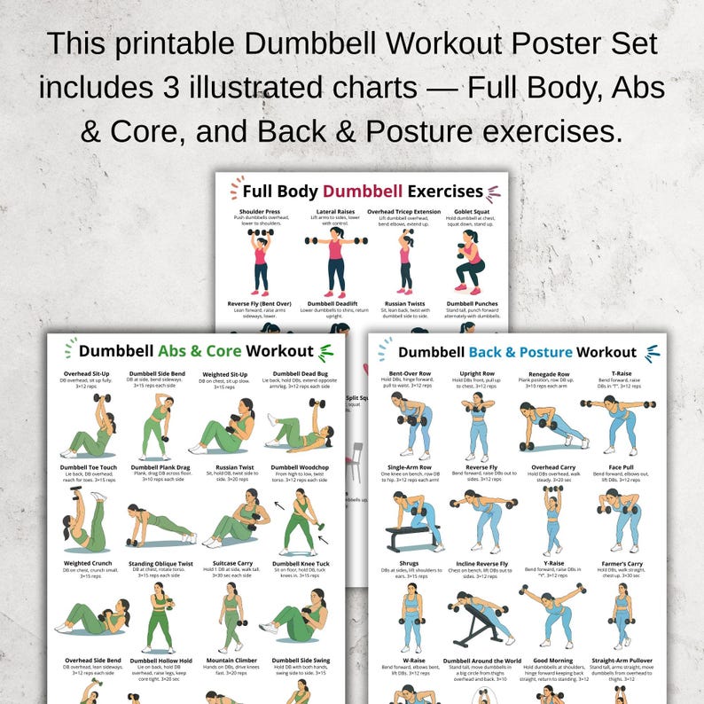 Dumbbell Workout Poster Set Printable, Full Body, Abs & Core, Back and ...