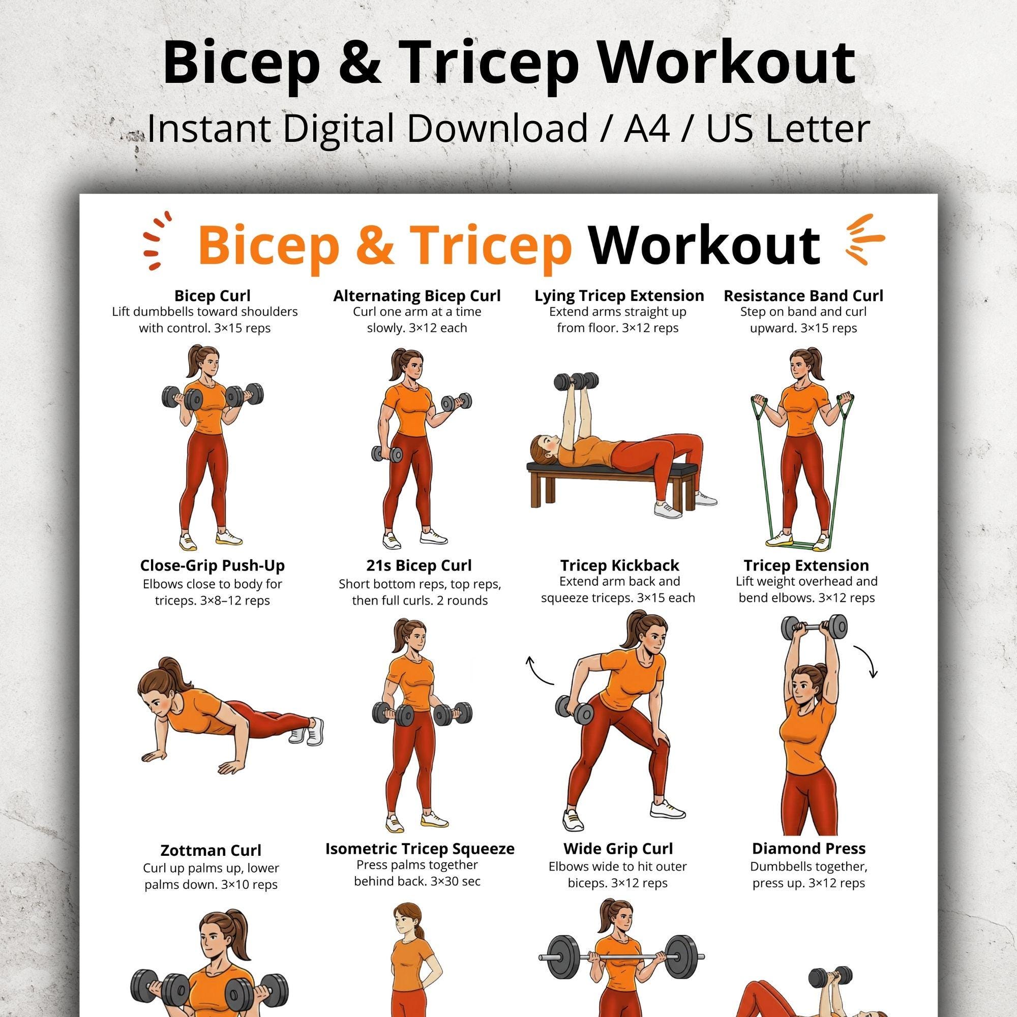 Biceps and Triceps Workout Chart, Arm Exercises With Dumbbells and ...