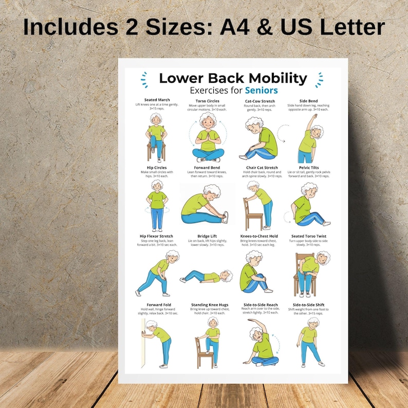 Lower Back Exercises For Seniors Mobility Exercises Poster Gentle