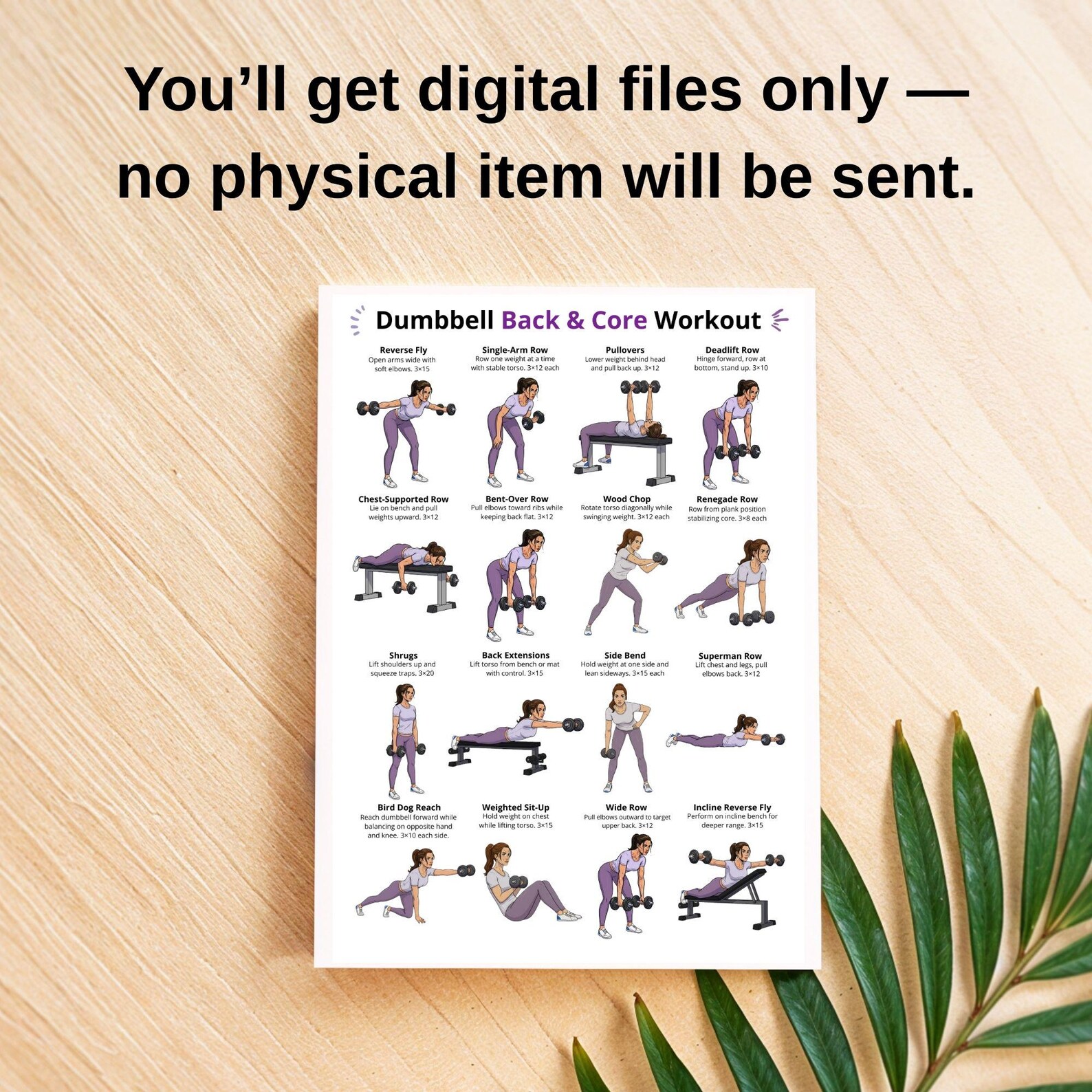 Dumbbell Back & Core Workout Poster, Back Exercise Chart, Core ...