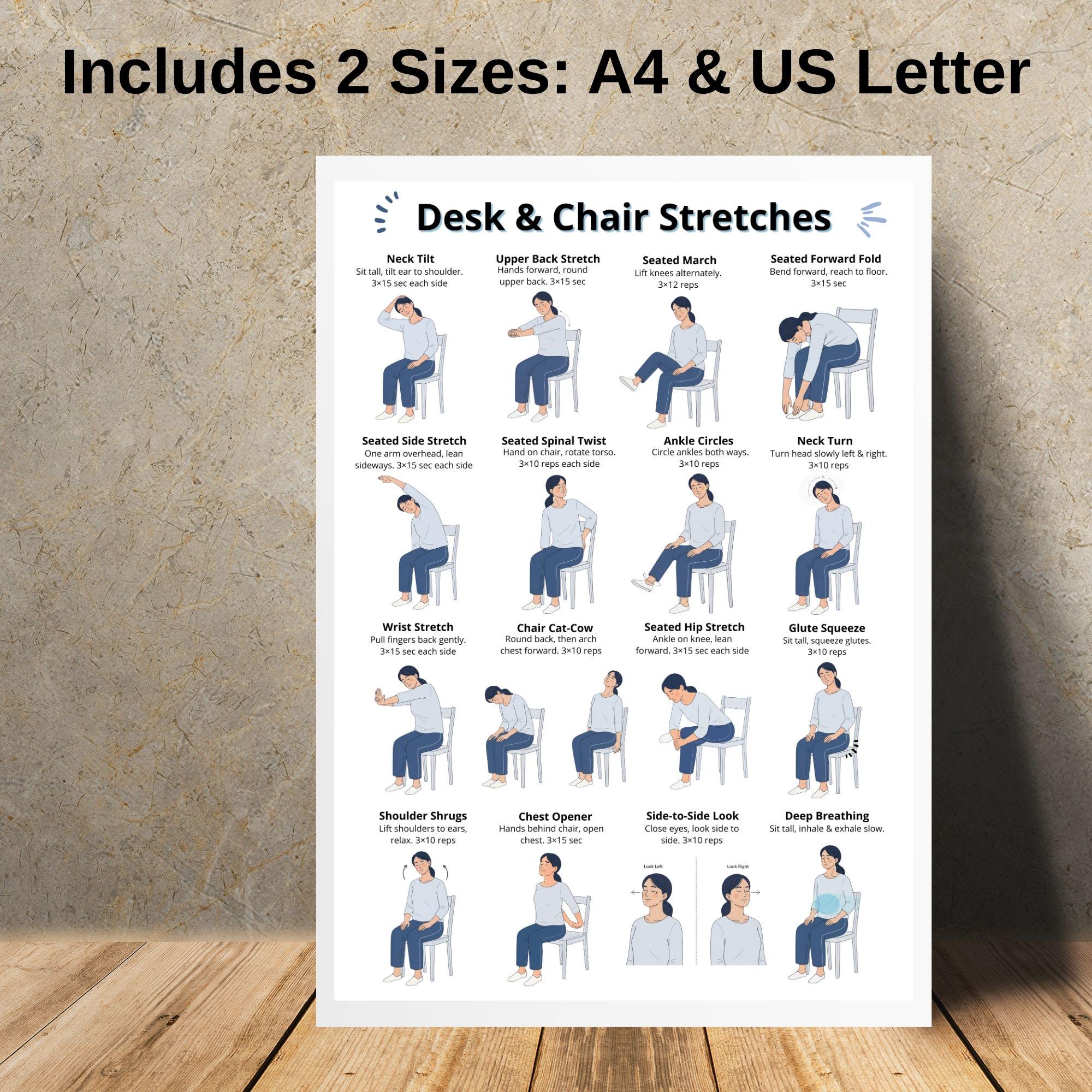 Desk & Chair Stretches Poster | Seated Stretching Exercises Chart ...