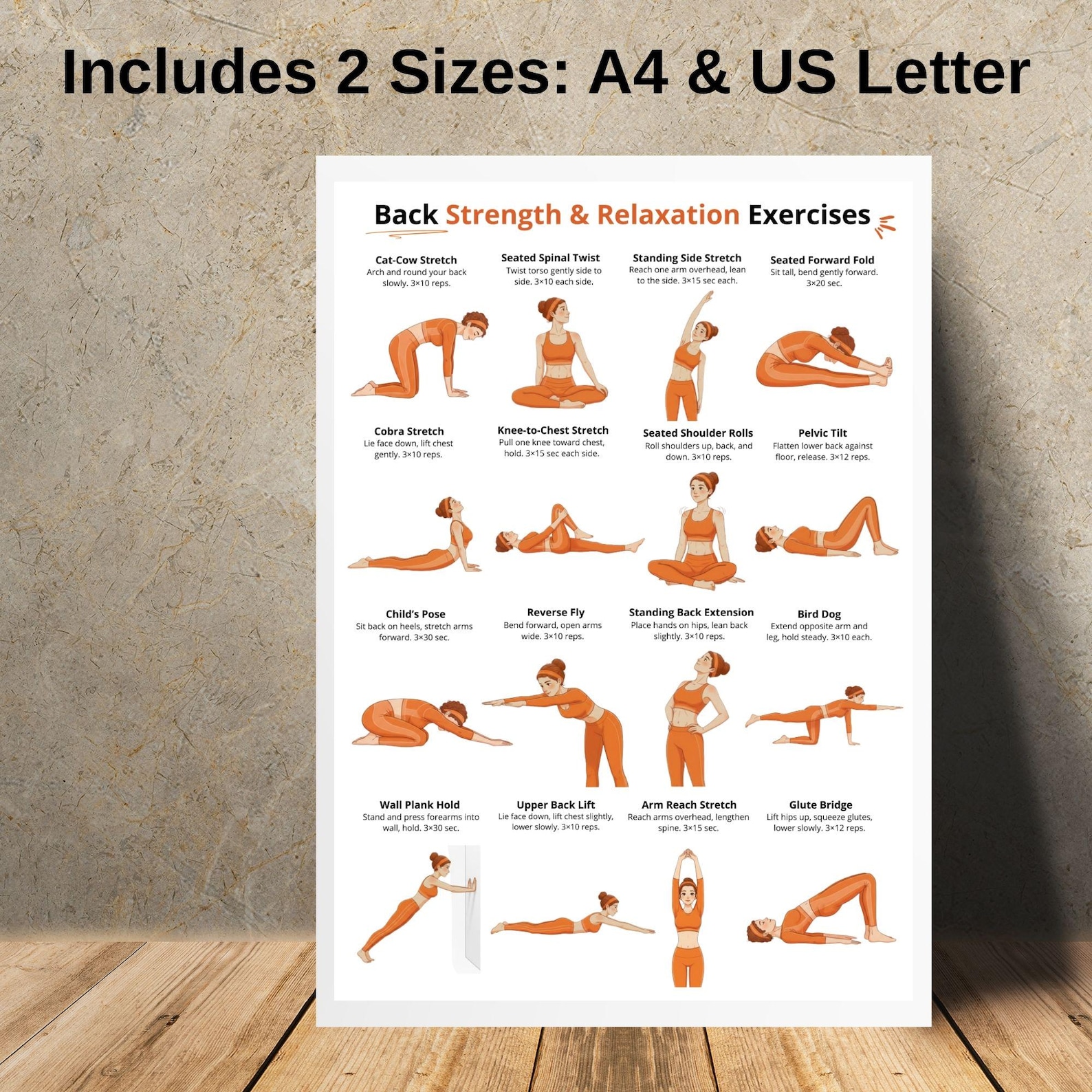 Back Exercises | Seated and Standing Back Exercise Poster | Upper and ...