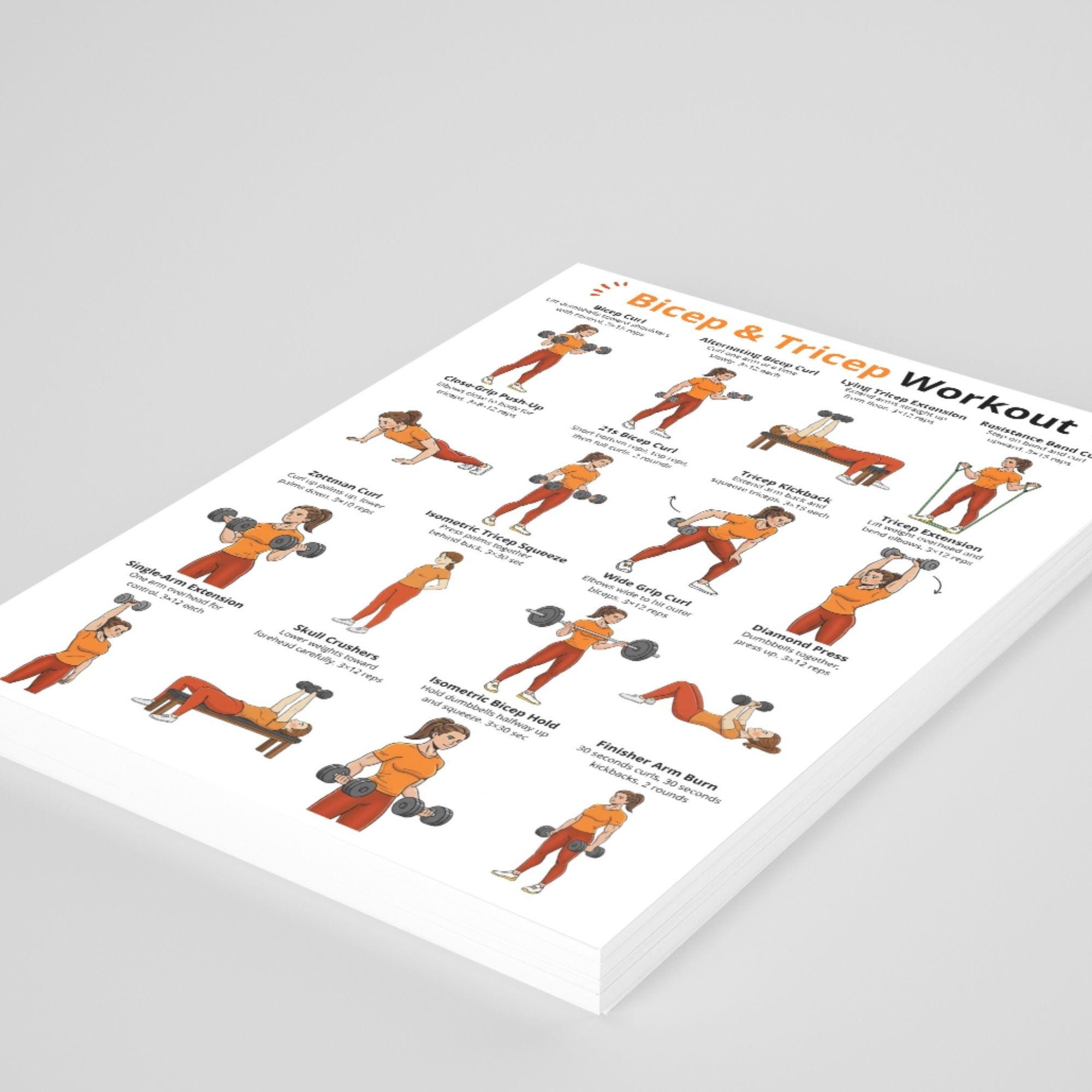 Biceps and Triceps Workout Chart, Arm Exercises With Dumbbells and ...