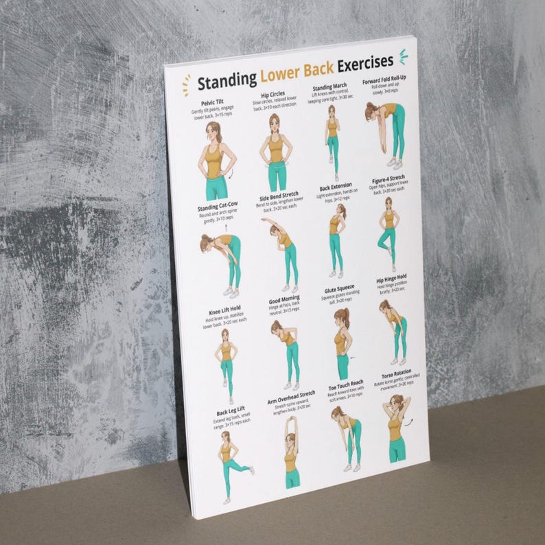 Standing Lower Back Exercises for Older Adults PDF Printable, No ...