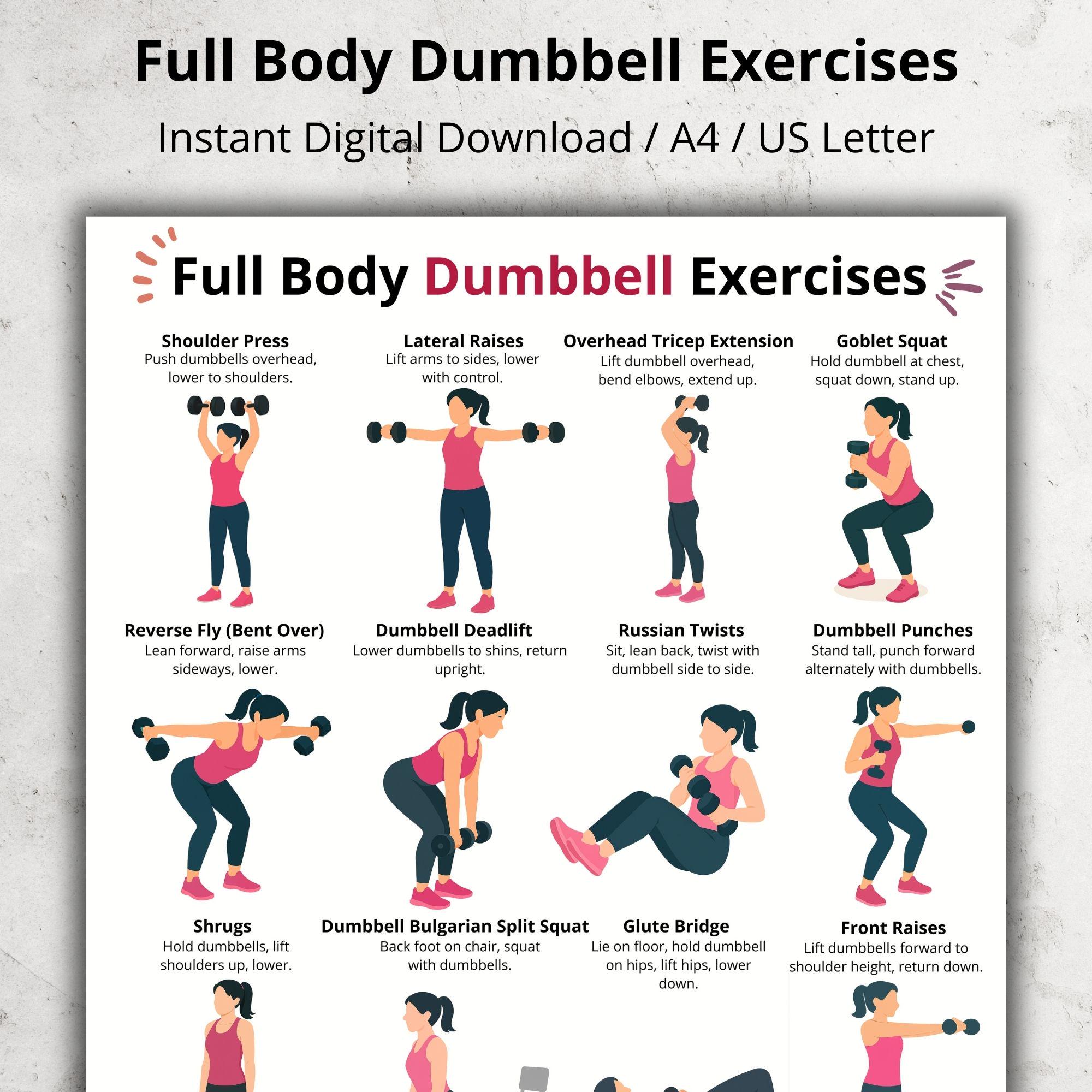 Full Body Dumbbell Workout Chart – Home Dumbbell Exercises, Printable ...