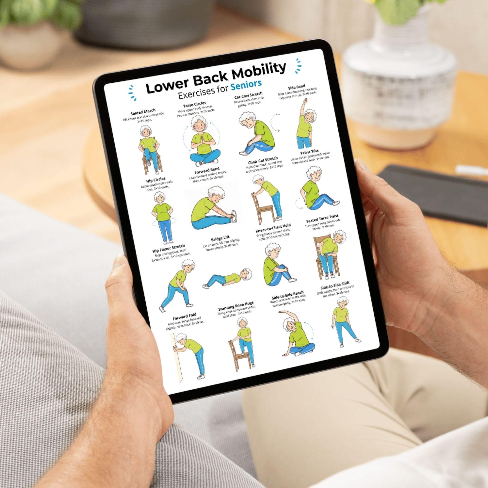 Lower Back Exercises for Seniors, Mobility Exercises Poster, Gentle ...