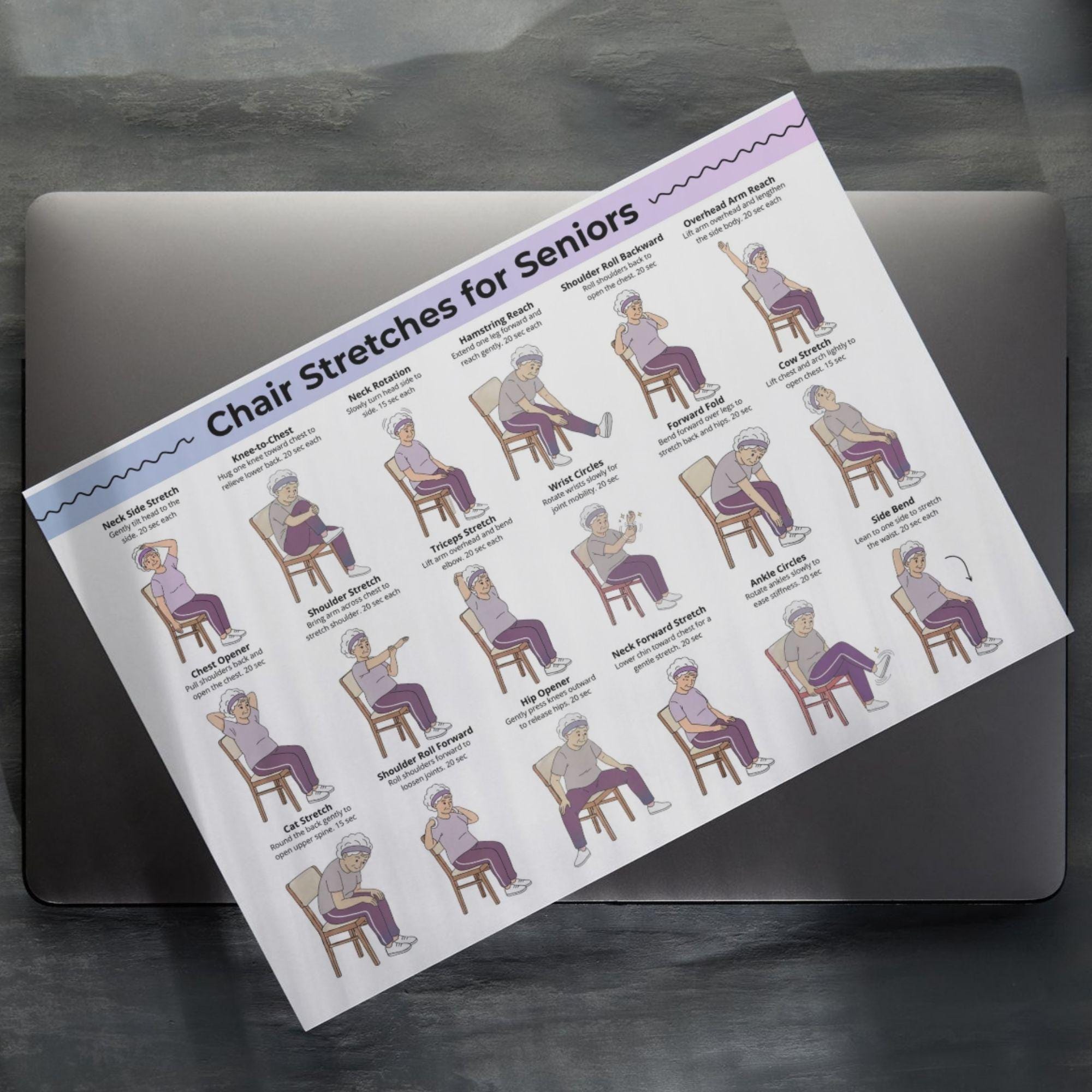 Chair Stretches for Seniors Poster, Seated Stretching Exercise Chart ...
