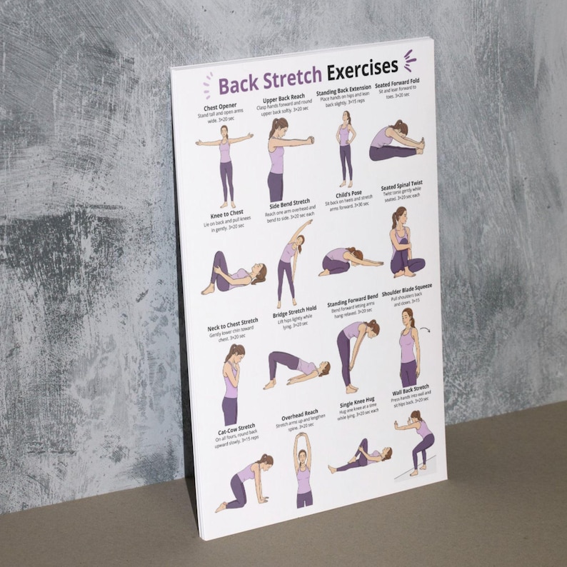 Back Stretch Exercises Chart, Upper & Lower Back Exercise Routine ...