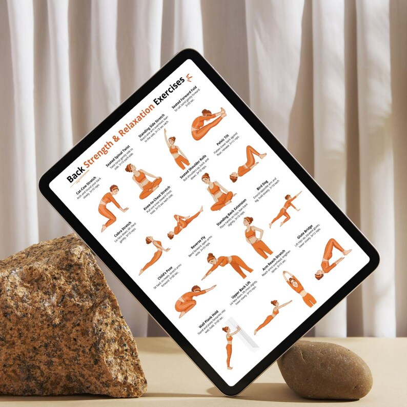 Back Exercises | Seated and Standing Back Exercise Poster | Upper and ...
