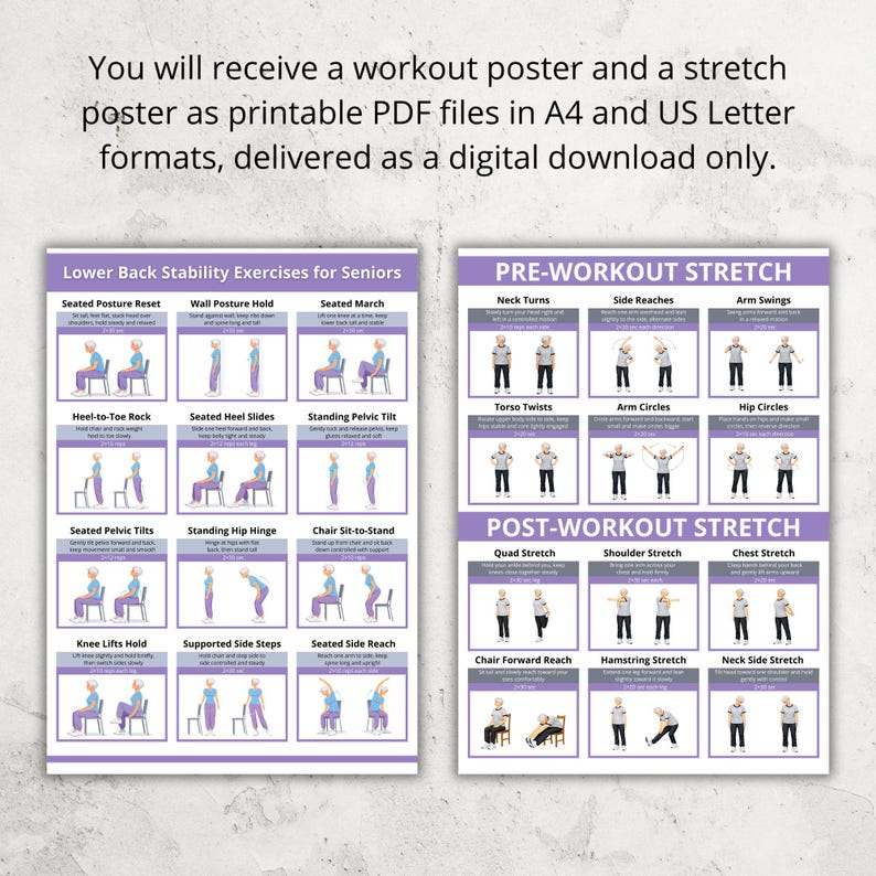 Lower Back Exercises for Seniors Printable PDF, Seated and Standing ...