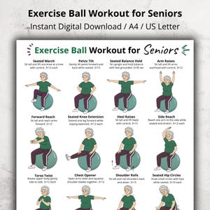 Exercise Ball Workout for Seniors - Etsy