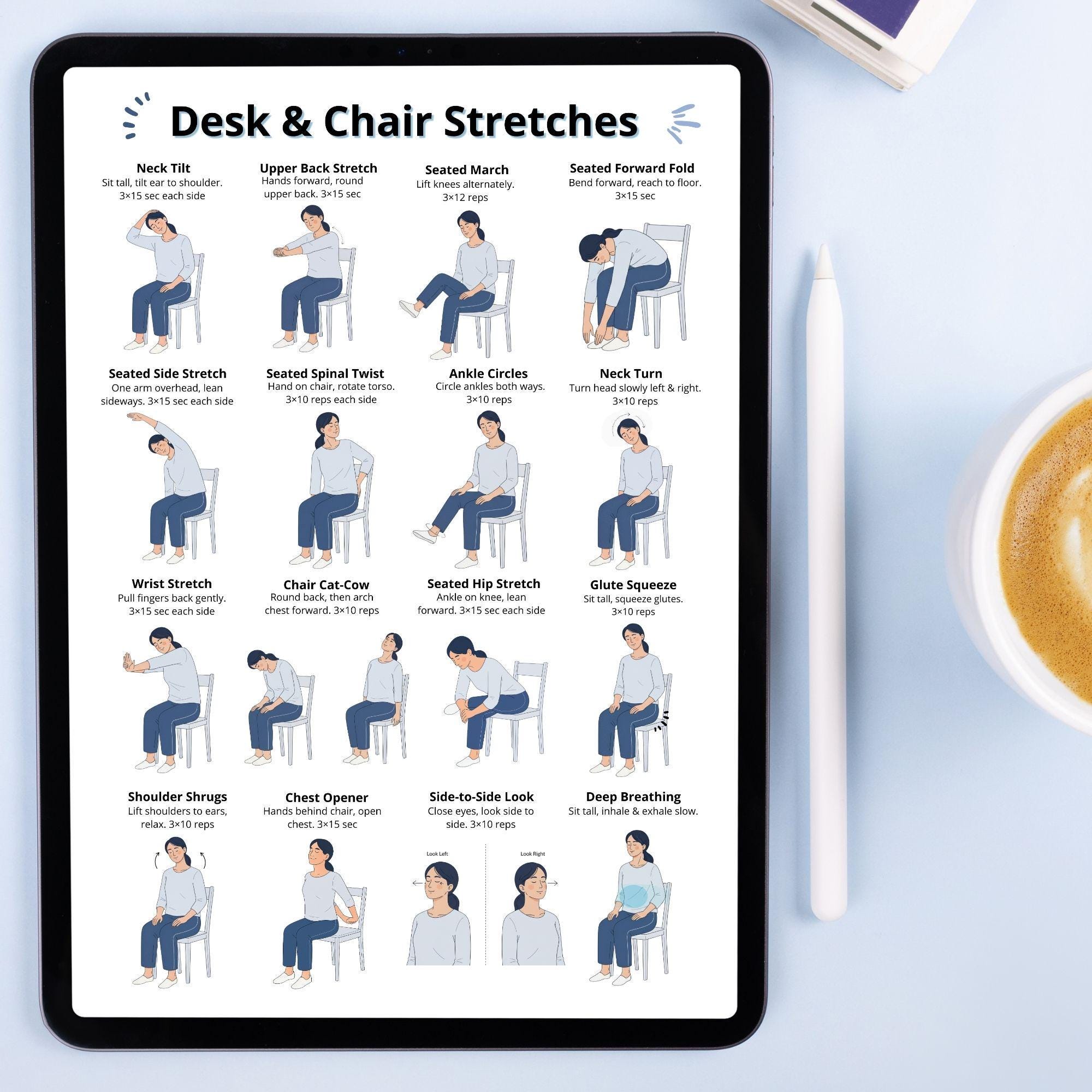 Desk & Chair Stretches Poster | Seated Stretching Exercises Chart ...