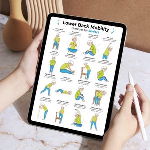 Lower Back Exercises for Seniors, Mobility Exercises Poster, Gentle ...