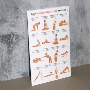 Back Exercises | Seated and Standing Back Exercise Poster | Upper and ...