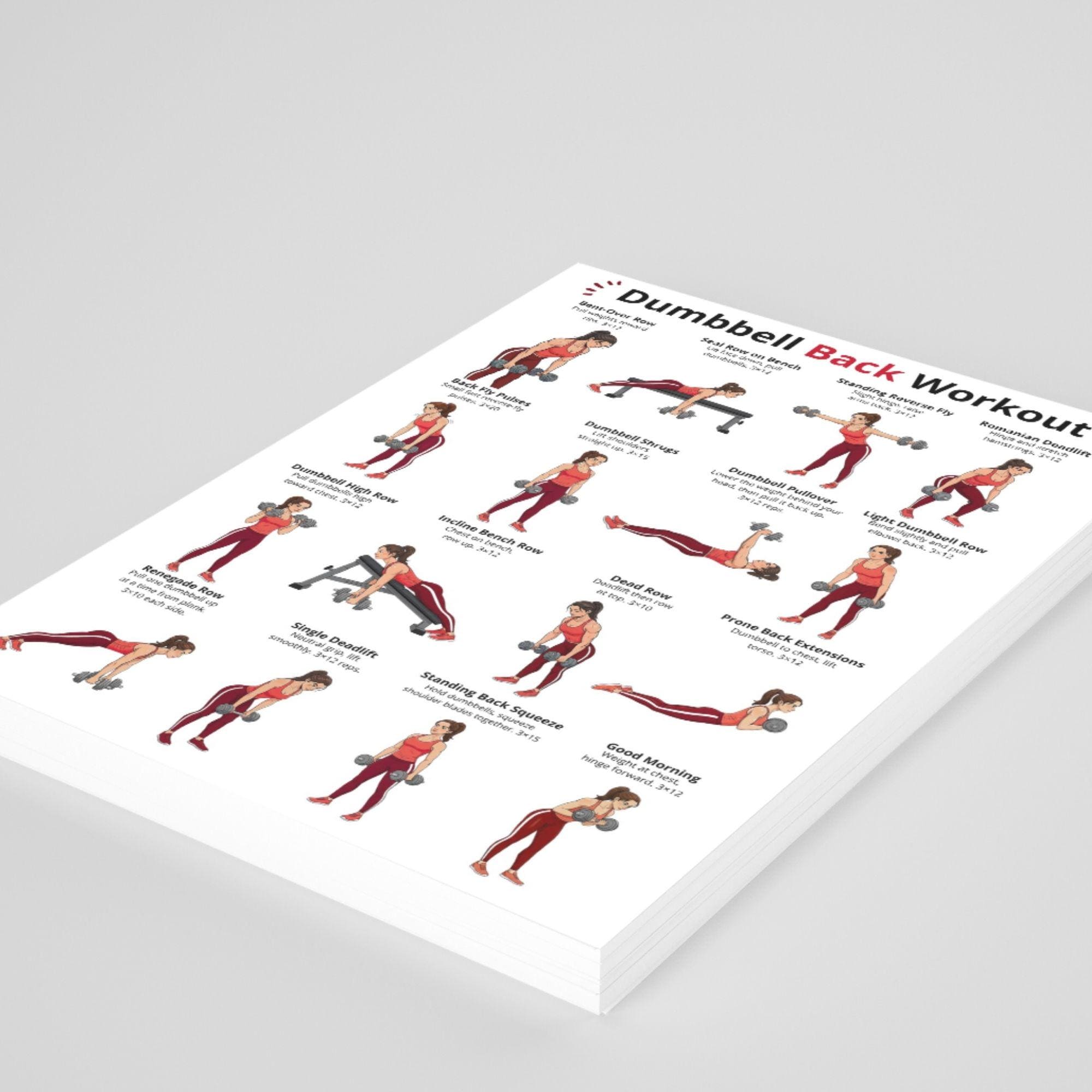 Dumbbell Back Workout Poster, Back Exercises Printable Chart, Upper ...