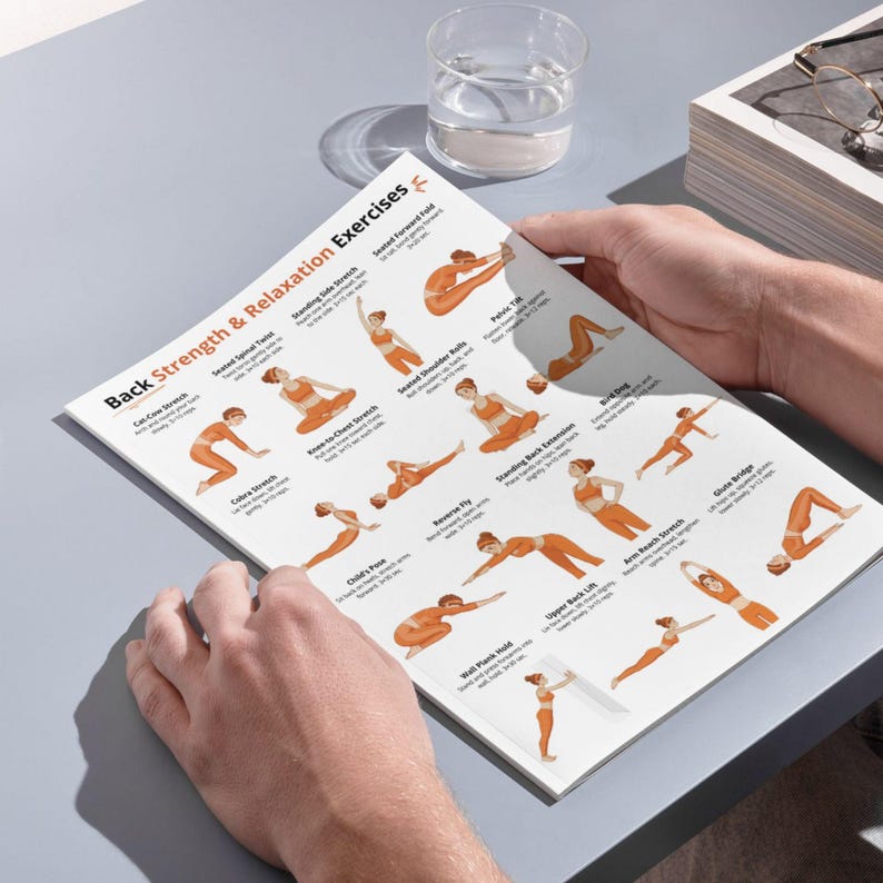 Back Exercises | Seated and Standing Back Exercise Poster | Upper and ...