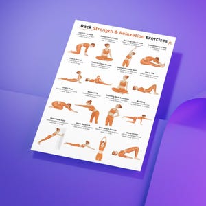Back Exercises | Seated and Standing Back Exercise Poster | Upper and ...