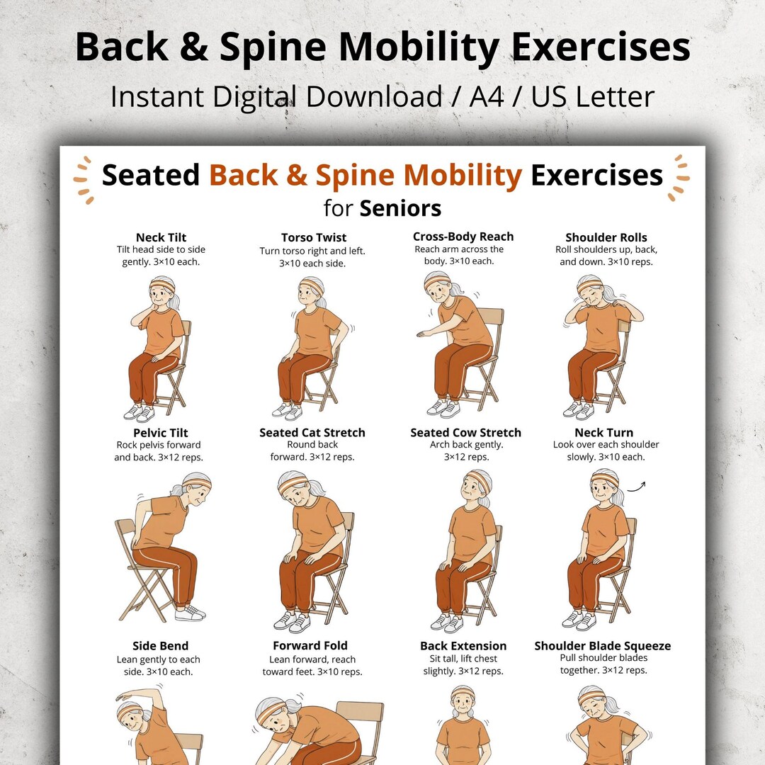 Seated Back & Spine Exercises for Seniors, Chair Stretch for Older ...