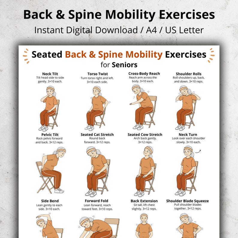Seated Back & Spine Exercises for Seniors, Chair Stretch for Older ...