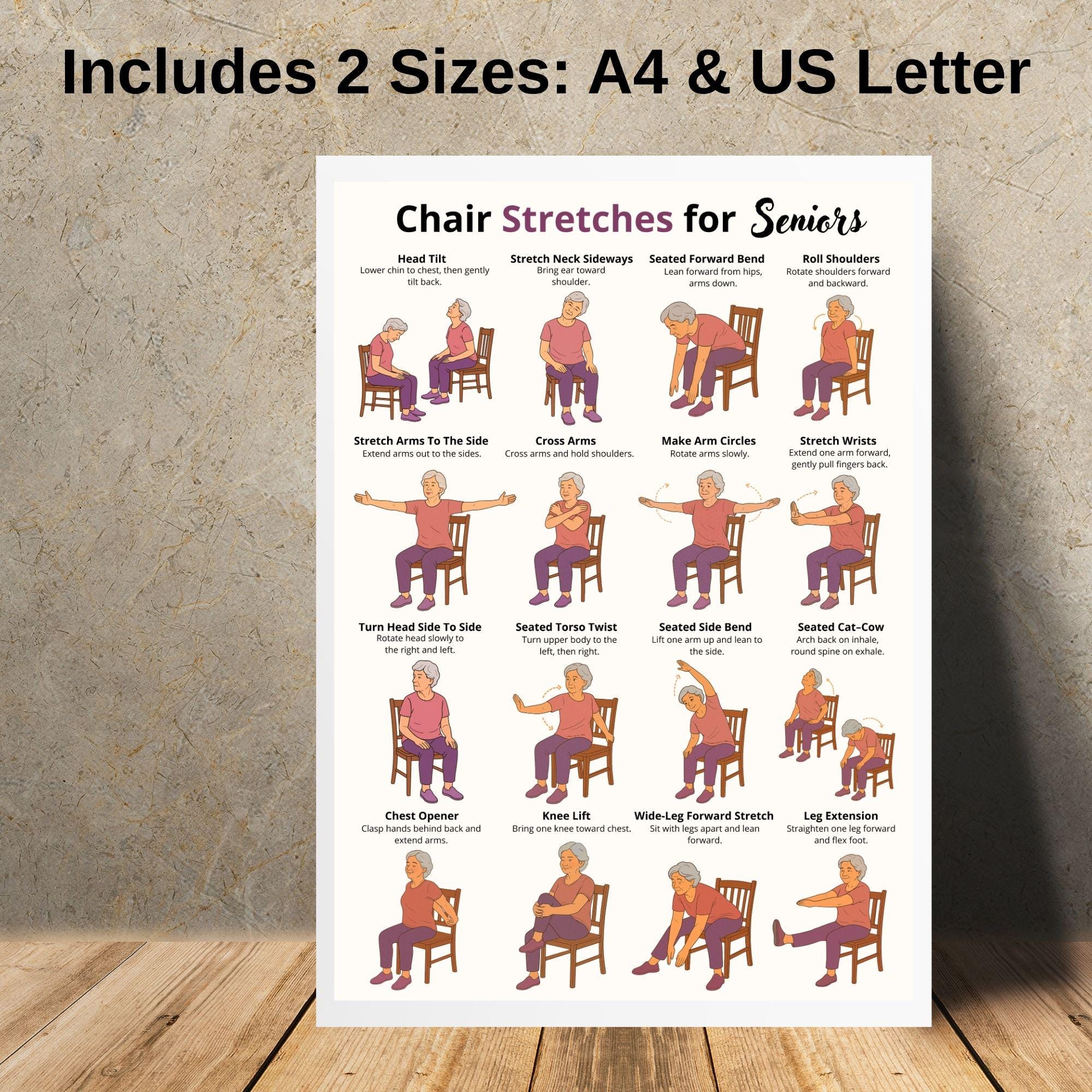 Chair Stretches for Seniors, Printable Seated Stretch Chart, Gentle ...