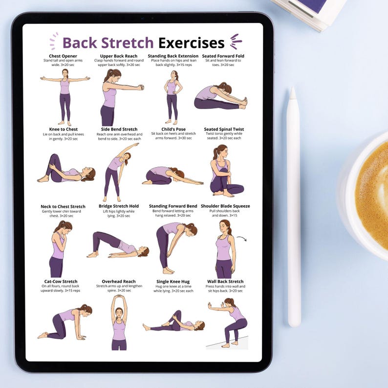 Back Stretch Exercises Chart, Upper & Lower Back Exercise Routine ...