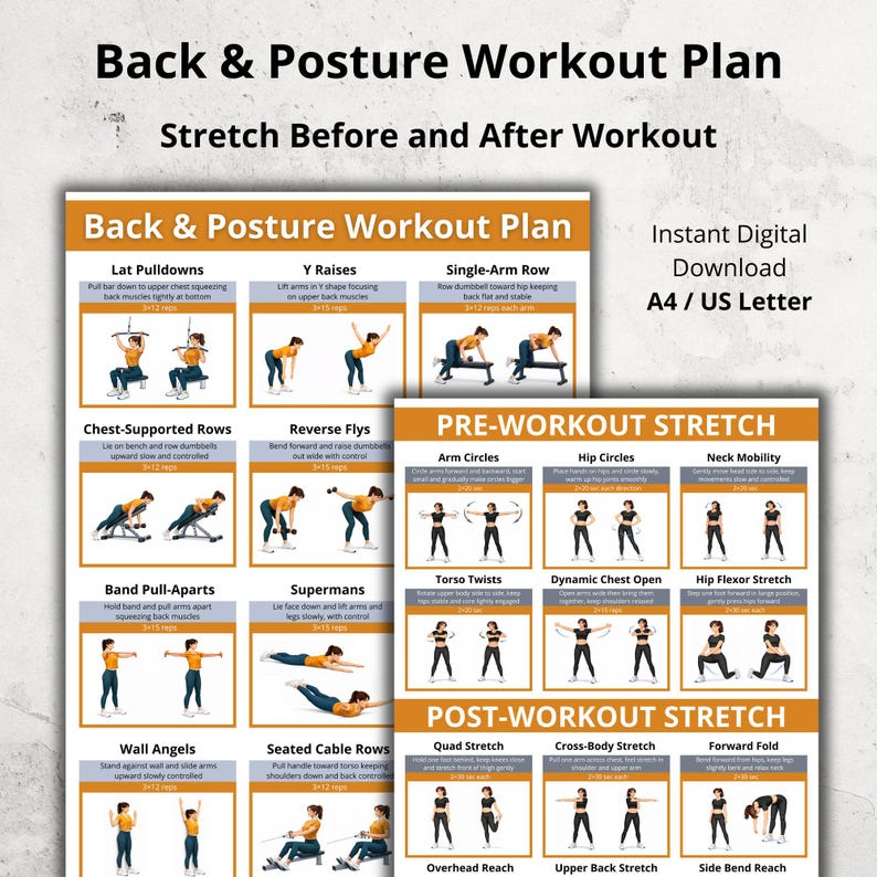 Back And Posture Workout Poster Printable Pdf Upper Back And Mid Back