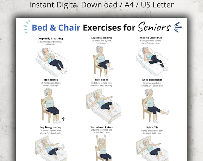 Chair Exercises for Seniors Printable, Seated Workout Chart, Gentle ...
