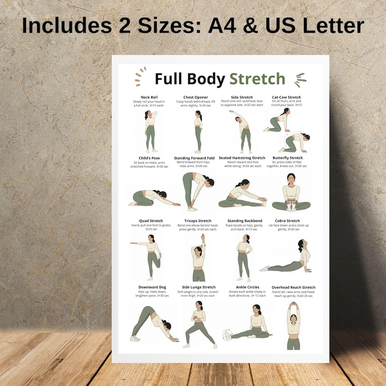 Full Body Stretch Poster With Flexibility Exercises | Home Stretch ...